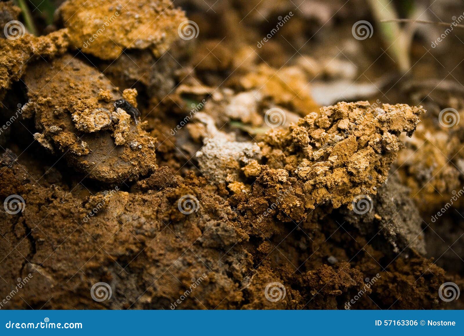 Mud stock photo. Image of colored, soil, water, yellow - 57163306