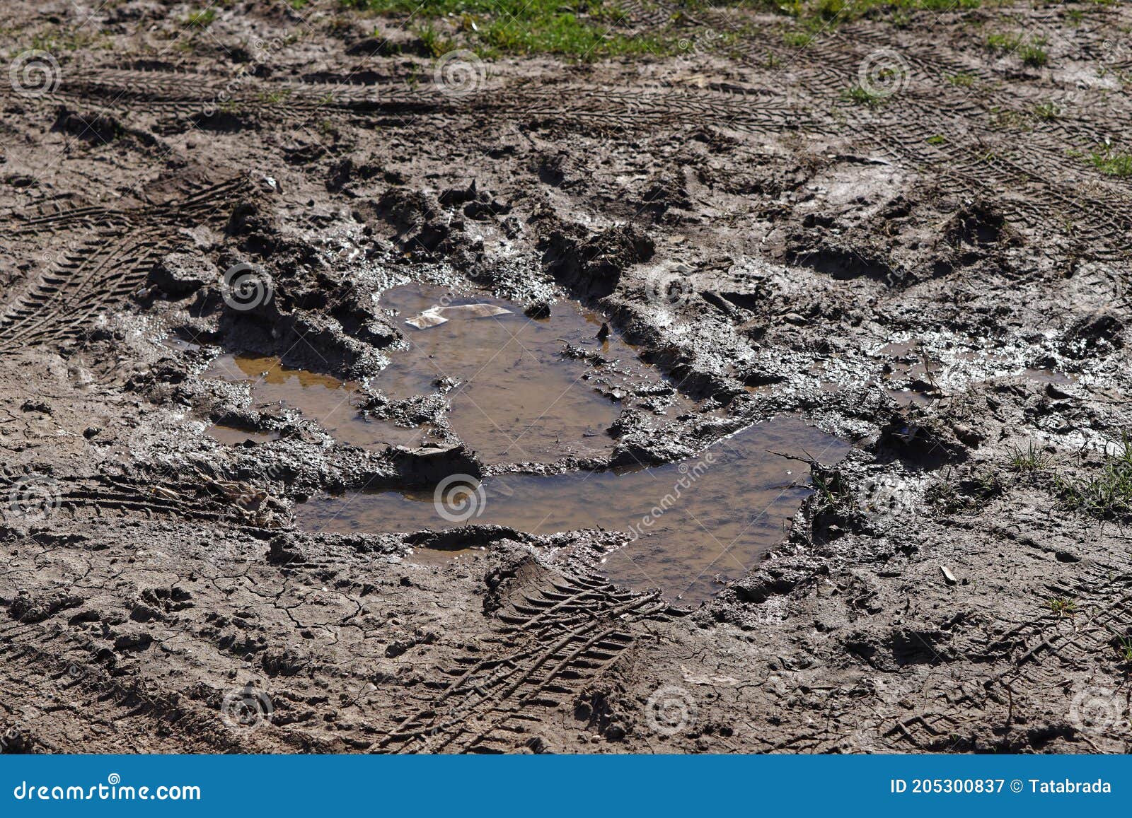Mud dirt stock image. Image of land, dirt, water, puddle - 205300837