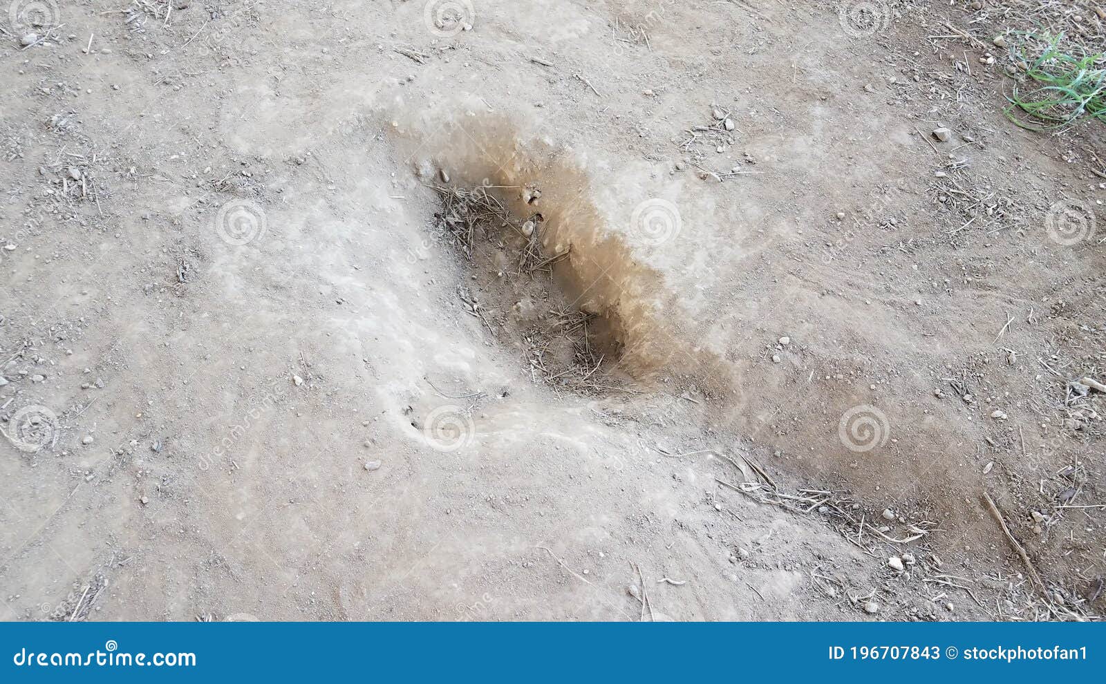 Mud or Dirt with Holes in the Ground Stock Image - Image of lawn ...