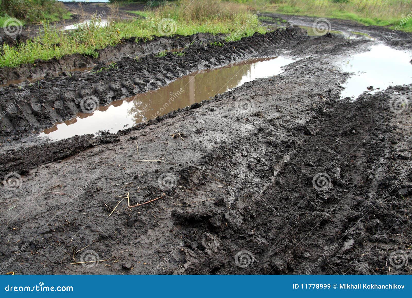 Mud dirty road stock image. Image of land, green, outdoors - 11778999