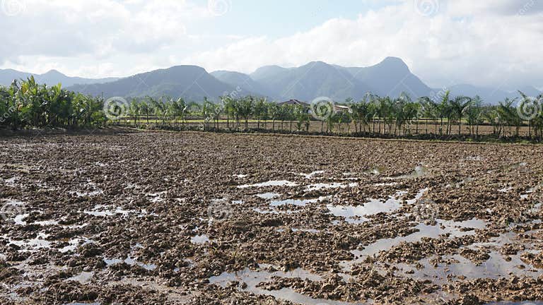 Mud field stock photo. Image of travel, fields, field - 95100464