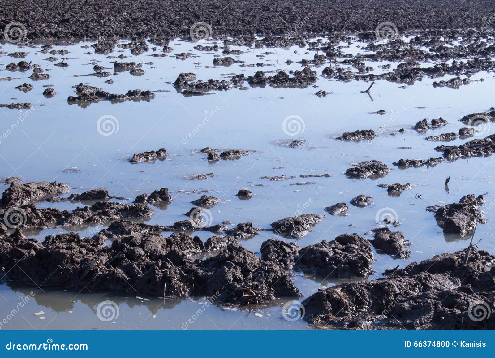 Mud field covered in water stock photo. Image of blue - 66374800