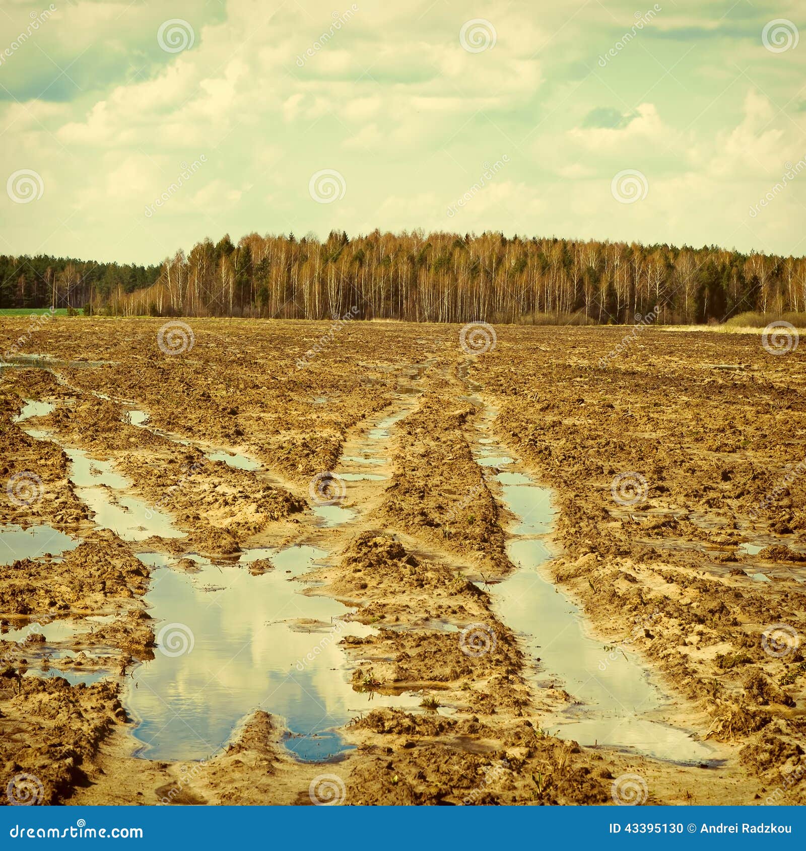 Mud on the field stock photo. Image of road, scene, puddle - 43395130