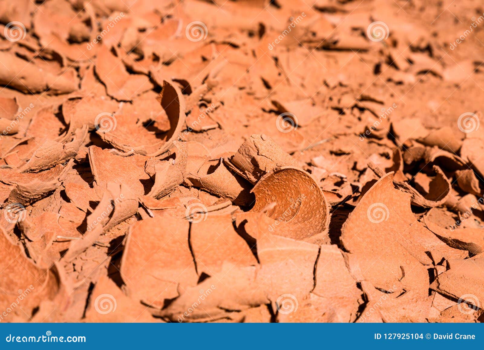 Rolling Cracked Mud in the Desert of Southern Utah Stock Photo - Image ...