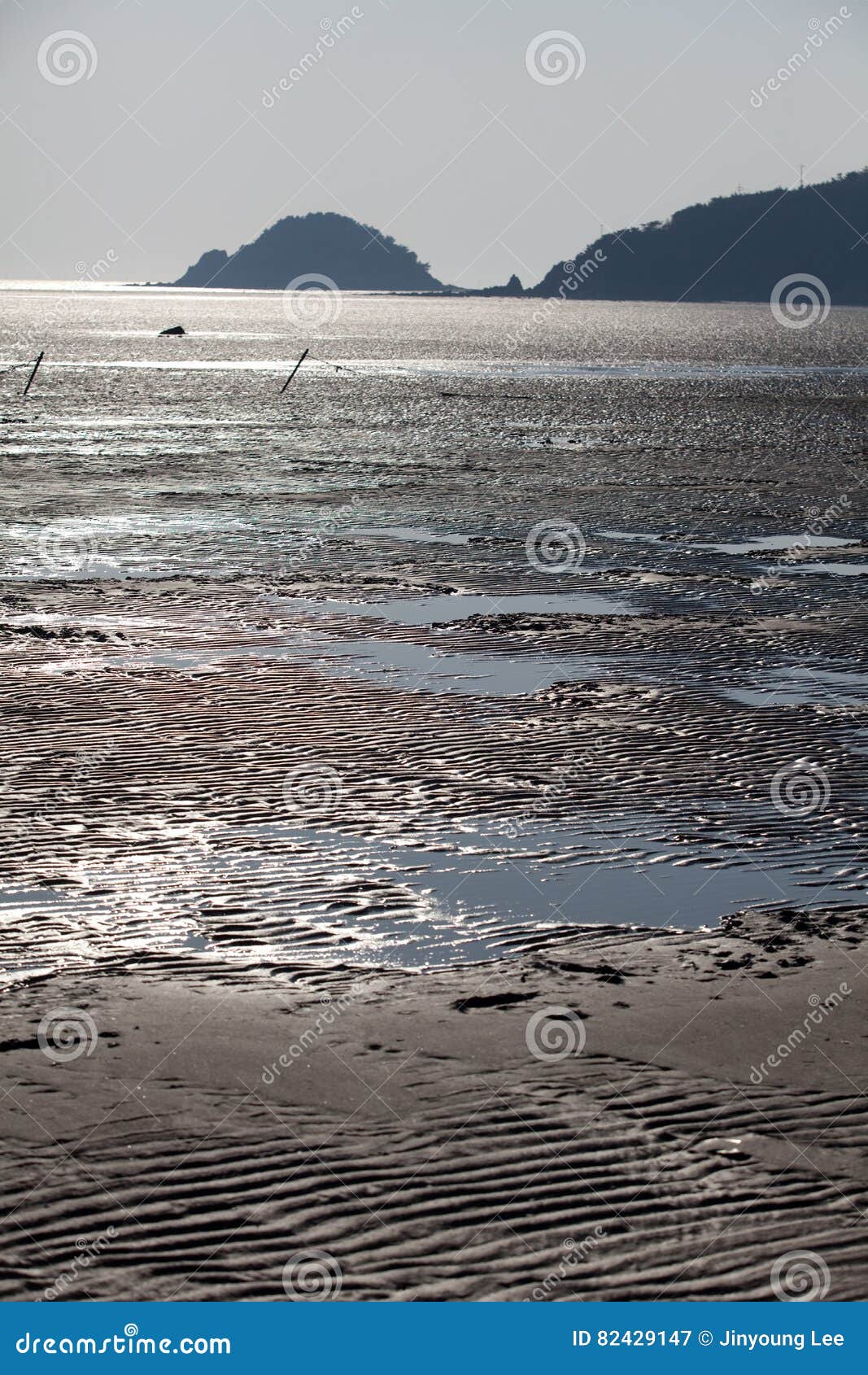 Mud Flat stock image. Image of landscape, scenic, seychelles - 82429147