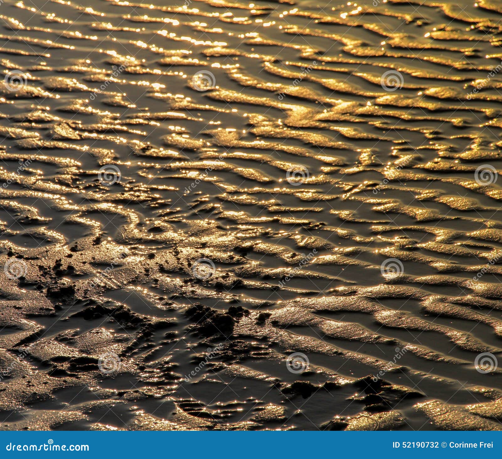 Mud flat stock photo. Image of pattern, flat, sunset - 52190732