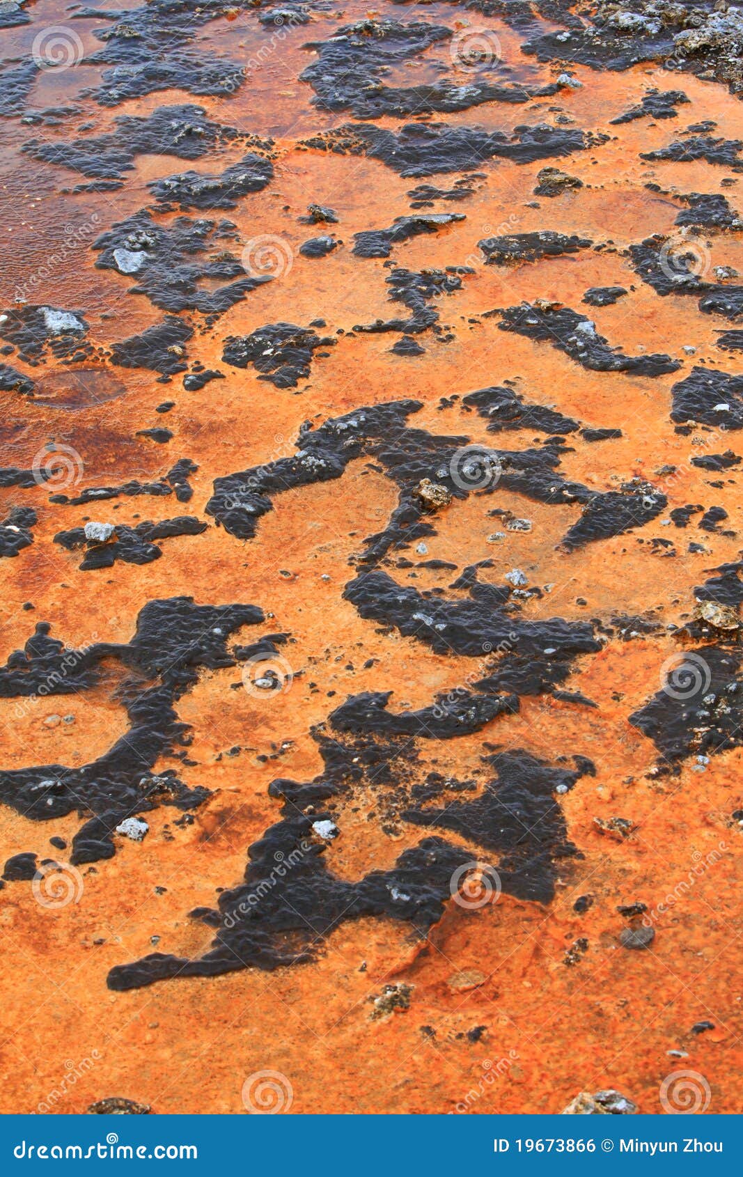 Mud Flat Patterns stock photo. Image of park, spring - 19673866