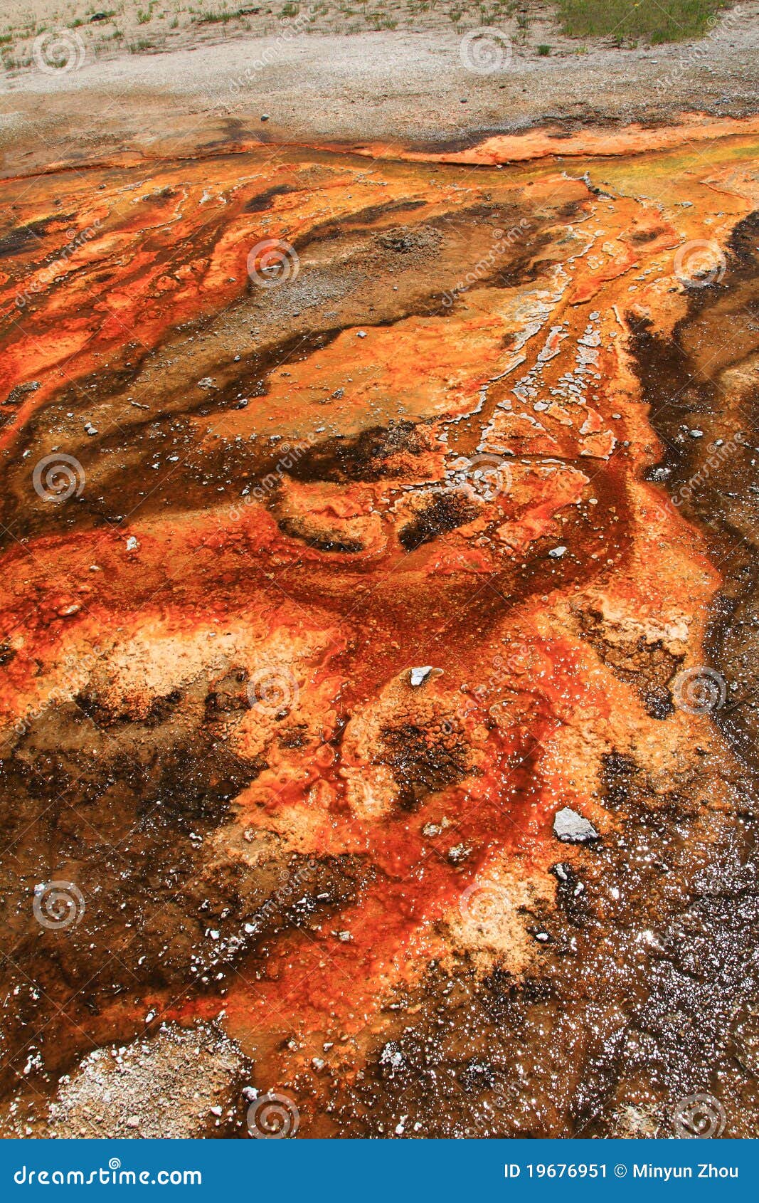 Mud Flat Patterns stock image. Image of national, basin - 19676951
