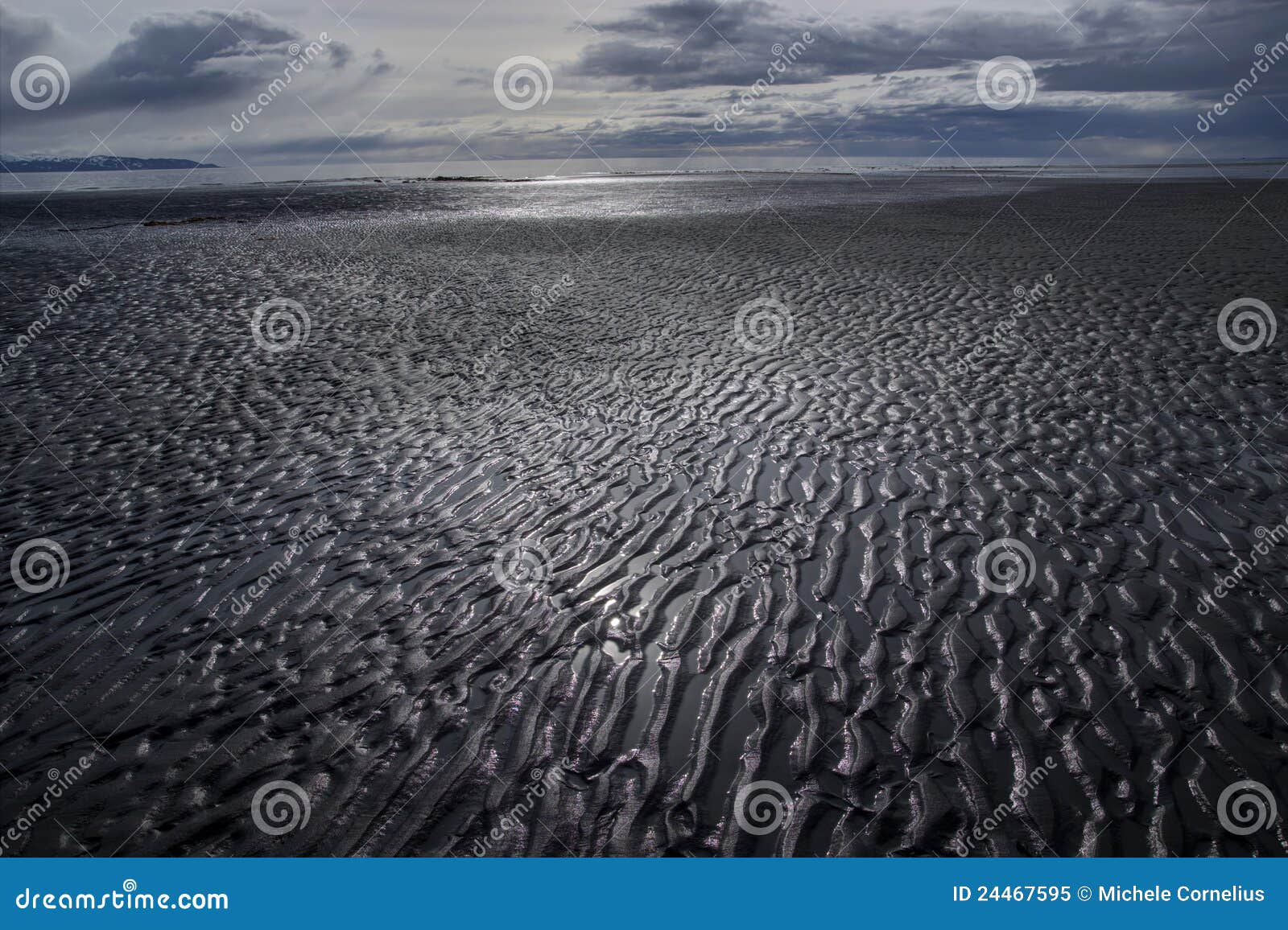 Mud Flat Patterns at Low Tide Stock Image - Image of tidal, flats: 24467595