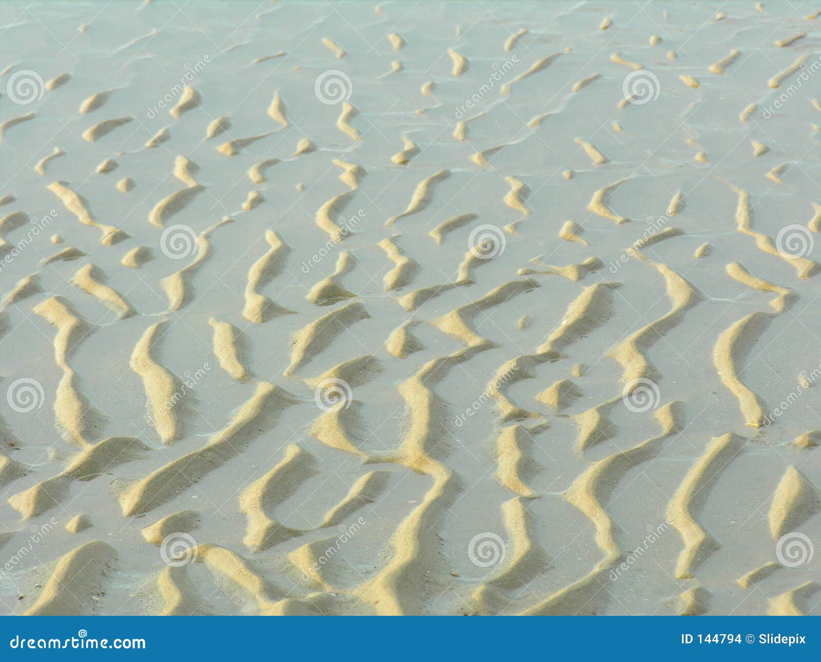 Mud Flats Picture. Image: 144794