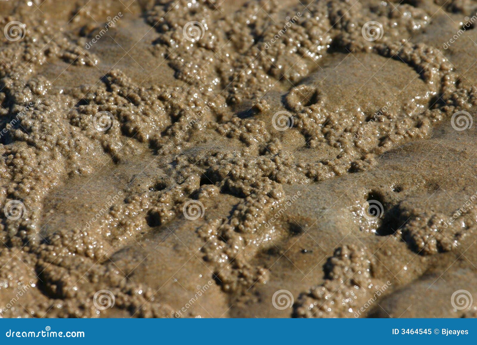 Mud flats stock image. Image of texture, sand, wormhole - 3464545