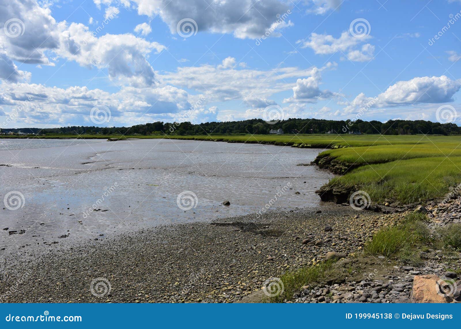Mud Flats Along North River a Tidal River Stock Photo - Image of marsh ...