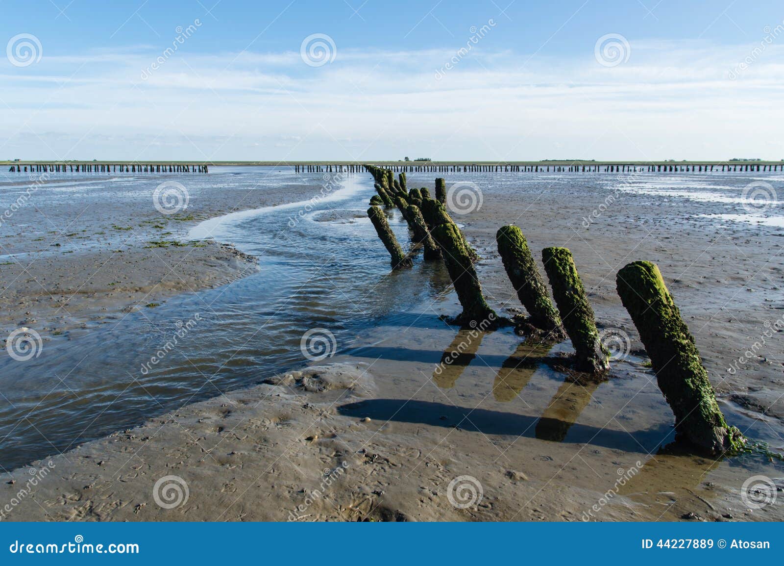 Mud flats stock image. Image of flat, beach, extreme - 44227889