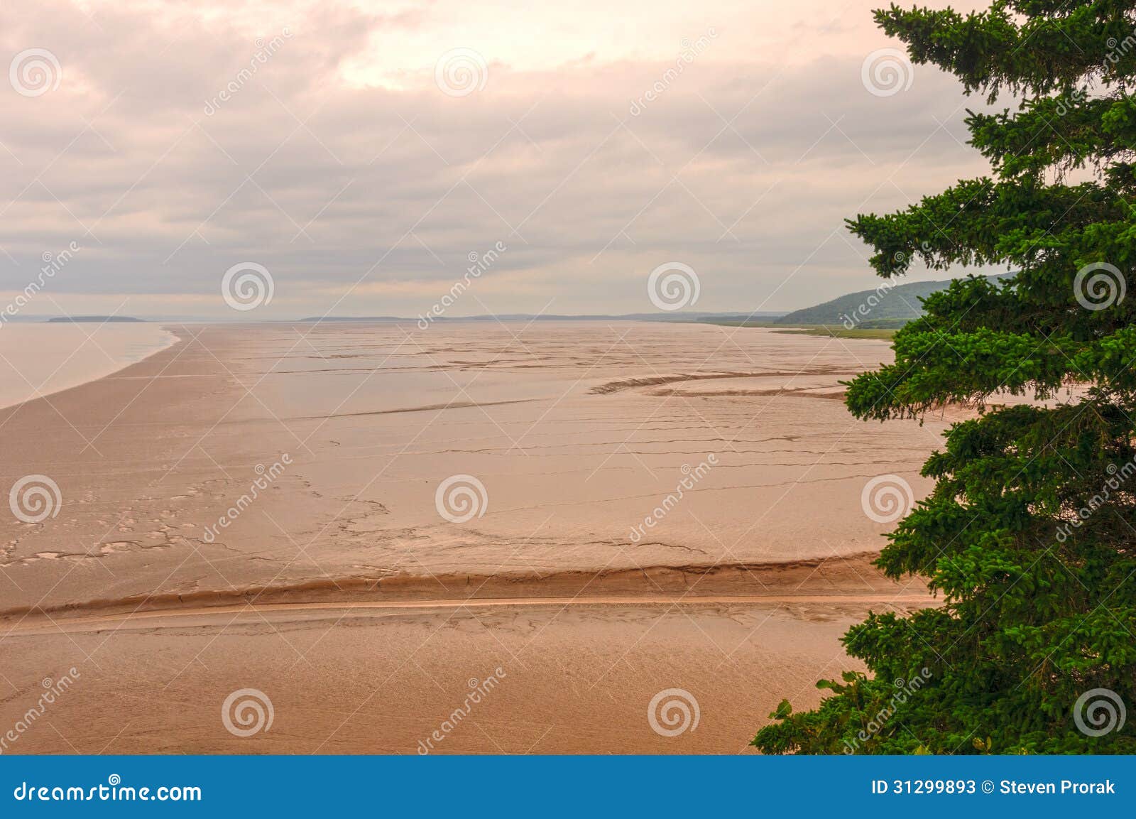 Mud flats at Low tide stock image. Image of coast, shore - 31299893