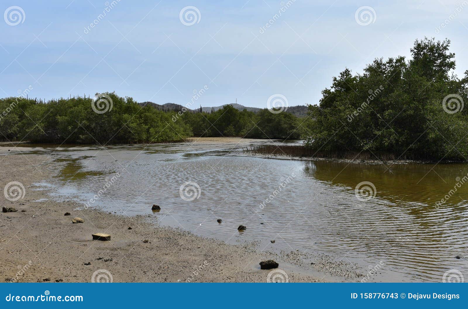 Mud Flats And Mangroves Make Up The Spanish Lagoon In Aruba Royalty ...