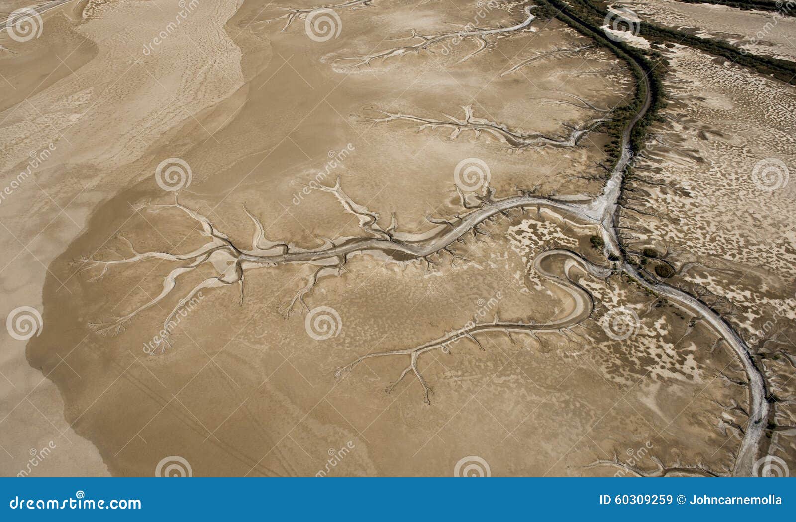 Mud flats stock image. Image of river, flats, creek, australia - 60309259