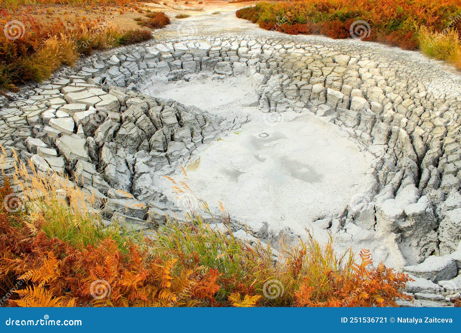 Mud Geyser or Mud Hot Spring Stock Image - Image of wilderness, lake ...