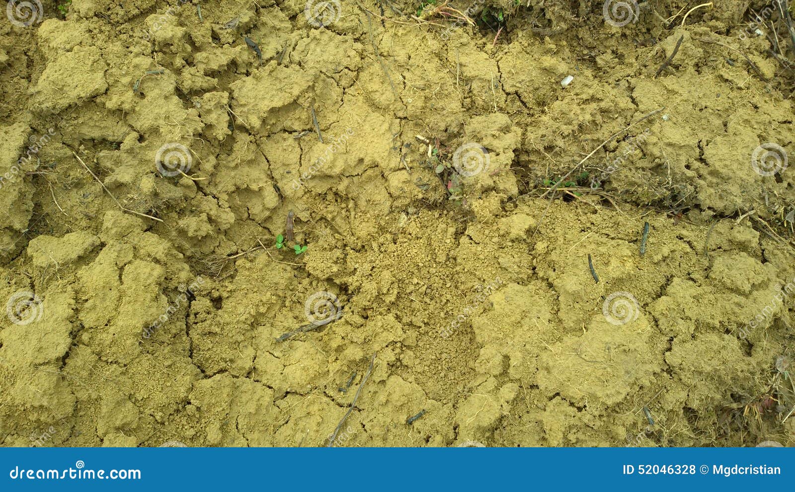 Mud stock photo. Image of conservation, nature, soil - 52046328
