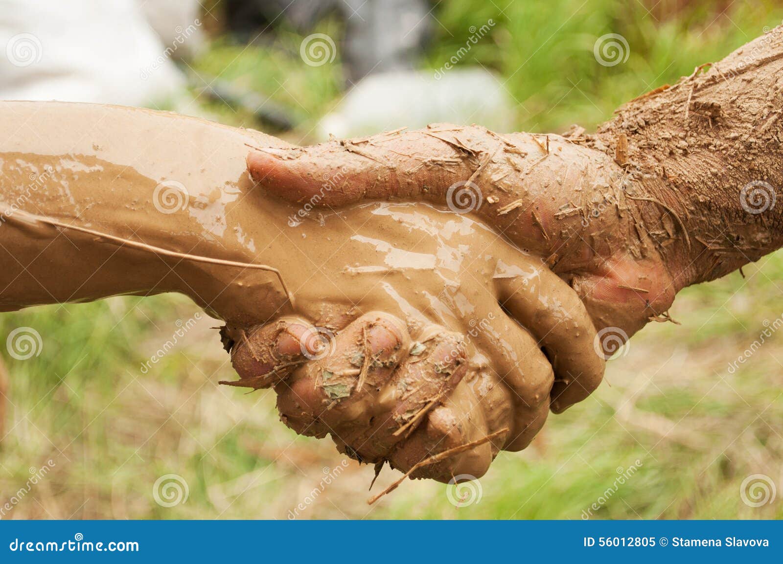 Mud handshake stock image. Image of rural, handshake - 56012805