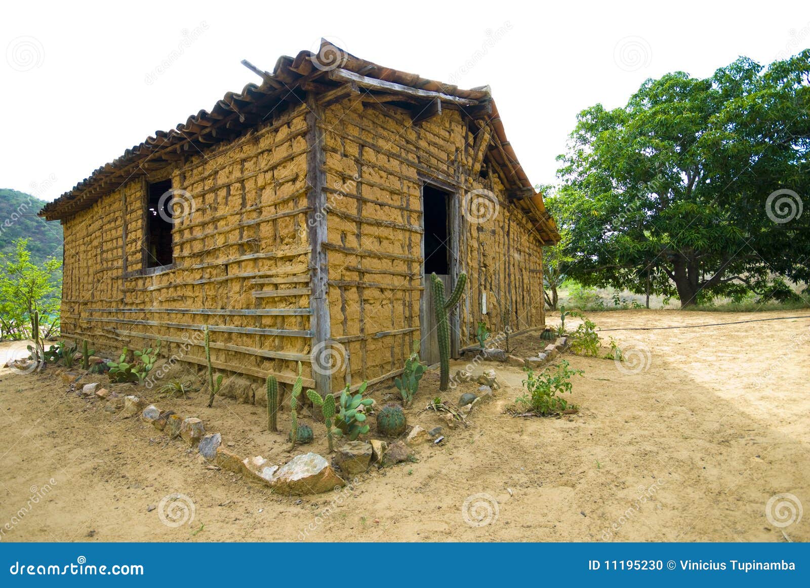 Mud house stock photo. Image of green, warm, cactus, window - 11195230