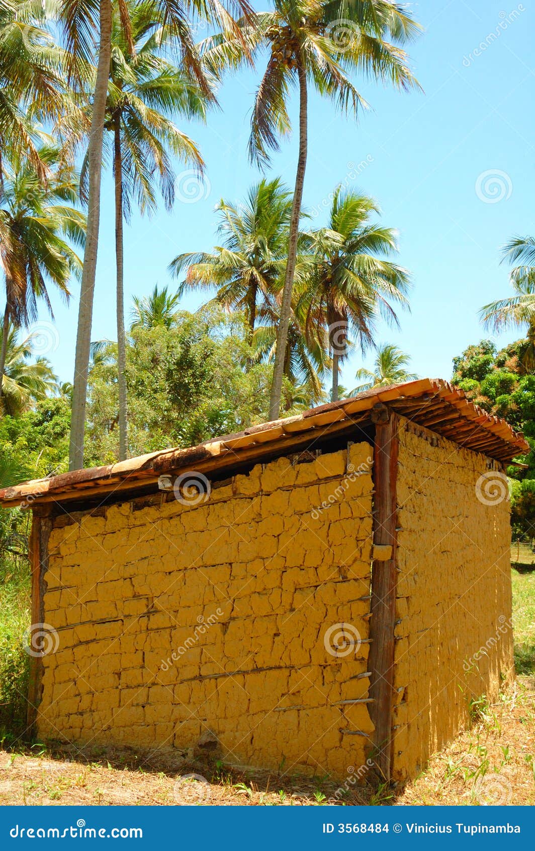 Mud House stock photo. Image of home, coconut, earth, wood - 3568484