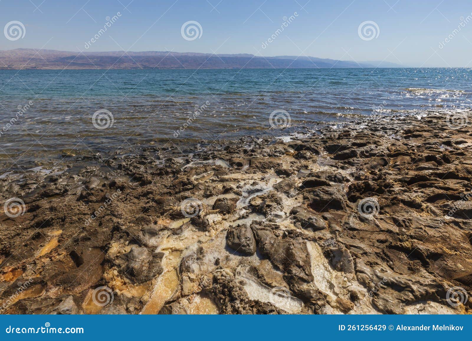 Mud and Layers of Salt on the Coast of the Dead Sea in Israel Stock ...