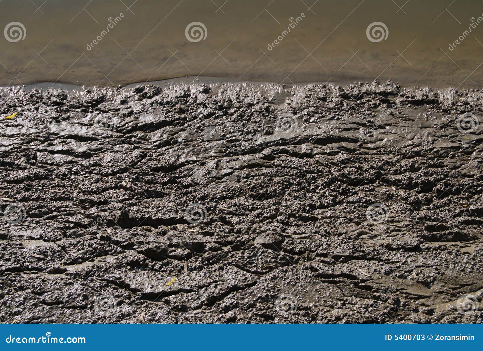 Mud in marsh stock image. Image of texture, ground, pattern - 5400703