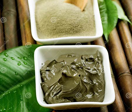 Mud Mask stock image. Image of massage, natural, pamper - 16305721