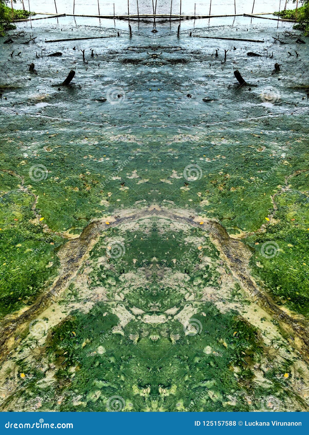 Mud and Moss Texture Background, Creative Design Stock Photo - Image of ...