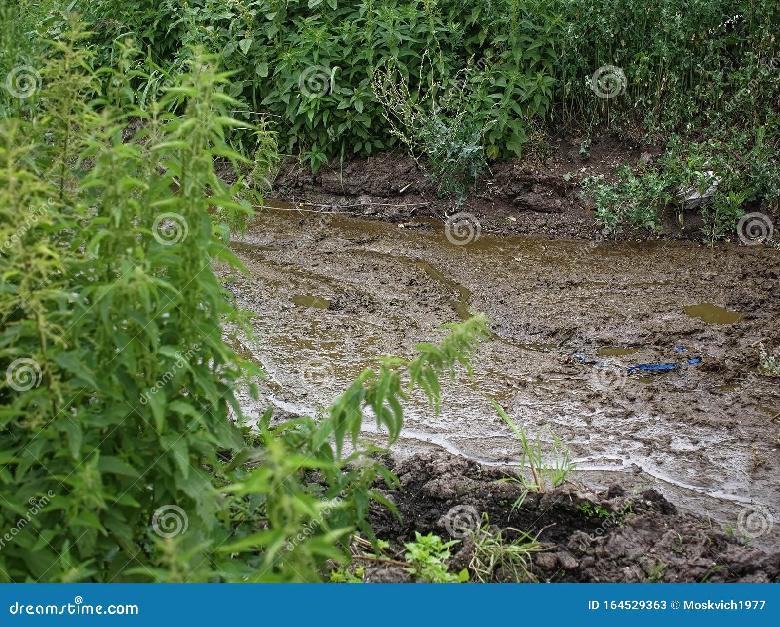 Mud near a farm with cows stock image. Image of background - 164529363