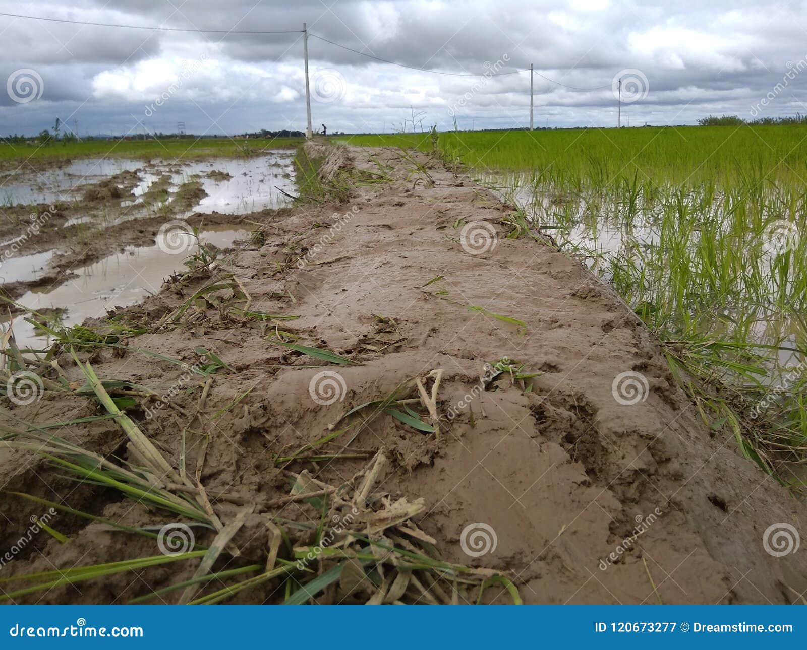 A mud path stock image. Image of path, used, soil, walk - 120673277
