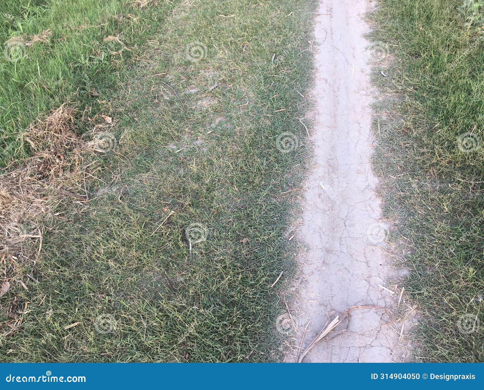 Mud Pathway between Field - Stock Image Stock Photo - Image of parched ...