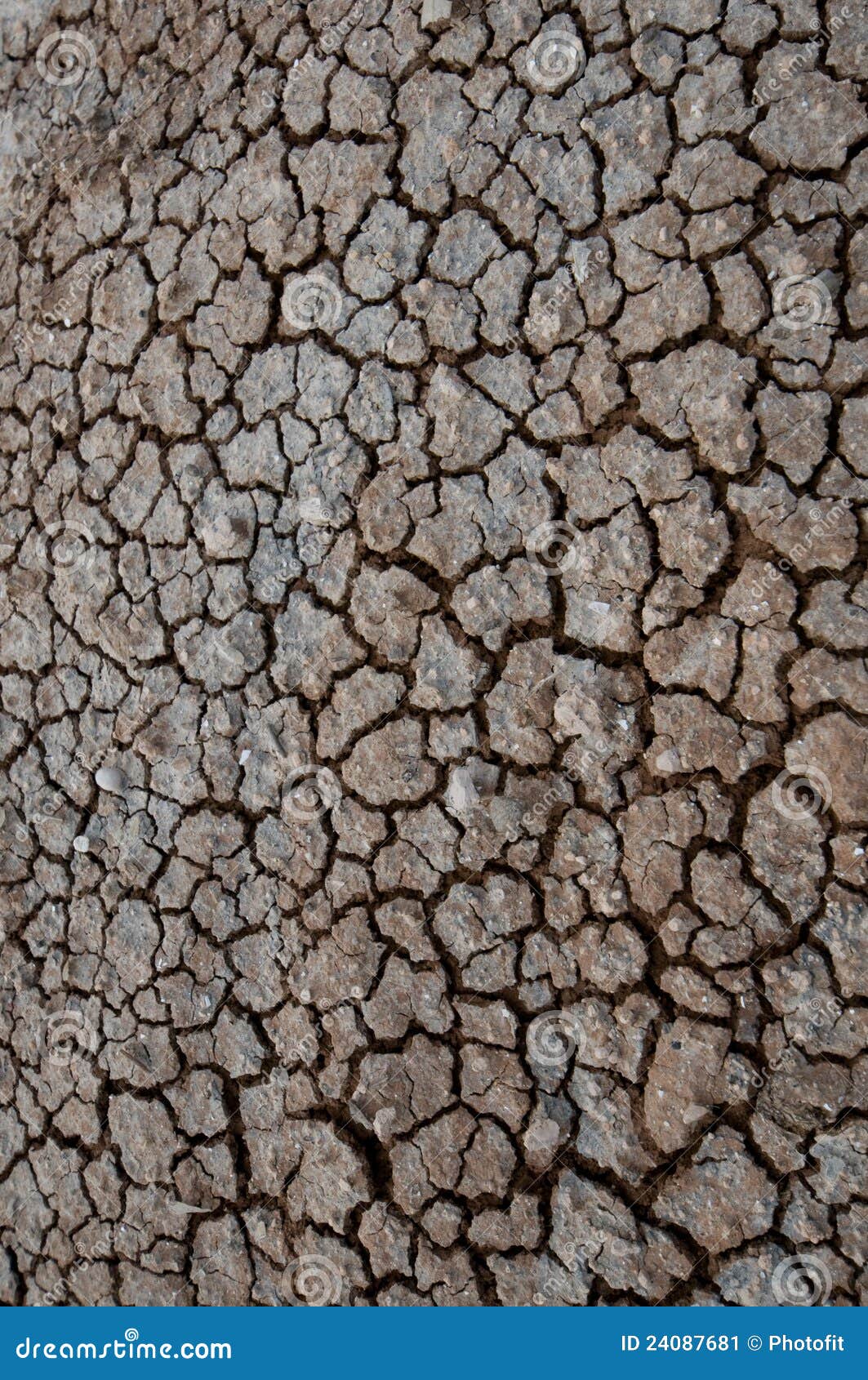 Mud pattern - vertical stock image. Image of muddy, environment - 24087681
