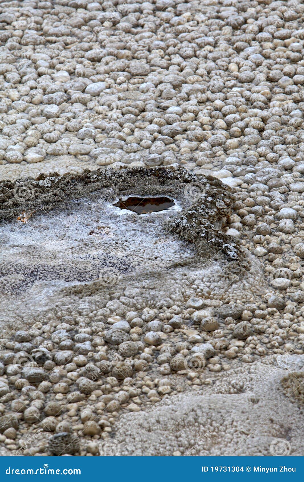 Mud Patterns stock photo. Image of basin, beautiful, vent - 19731304
