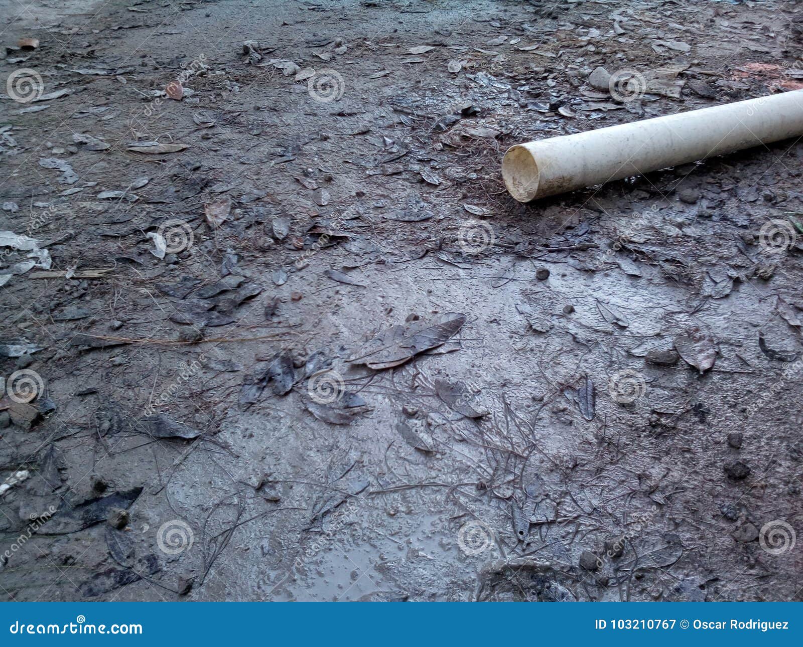 Mud and pipe editorial photography. Image of dirty, pipe - 103210767