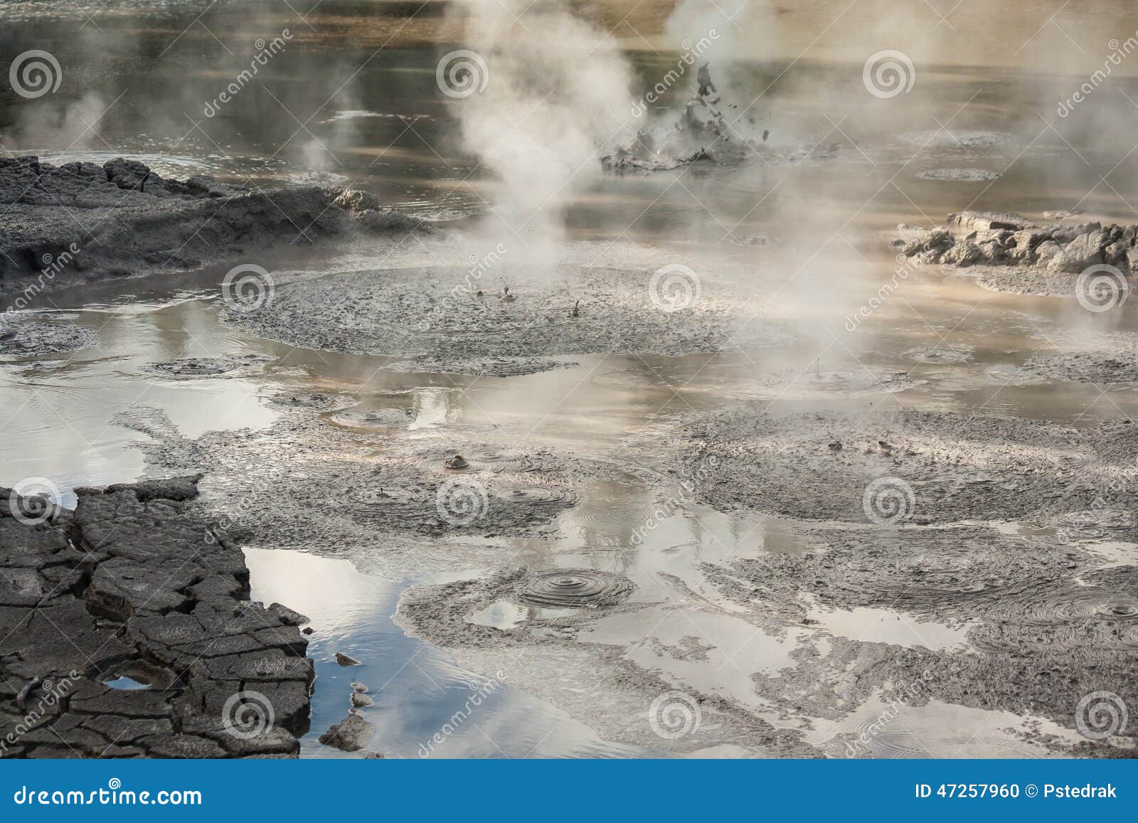 Mud pools in Waimangu stock photo. Image of slurry, waiotapu - 47257960