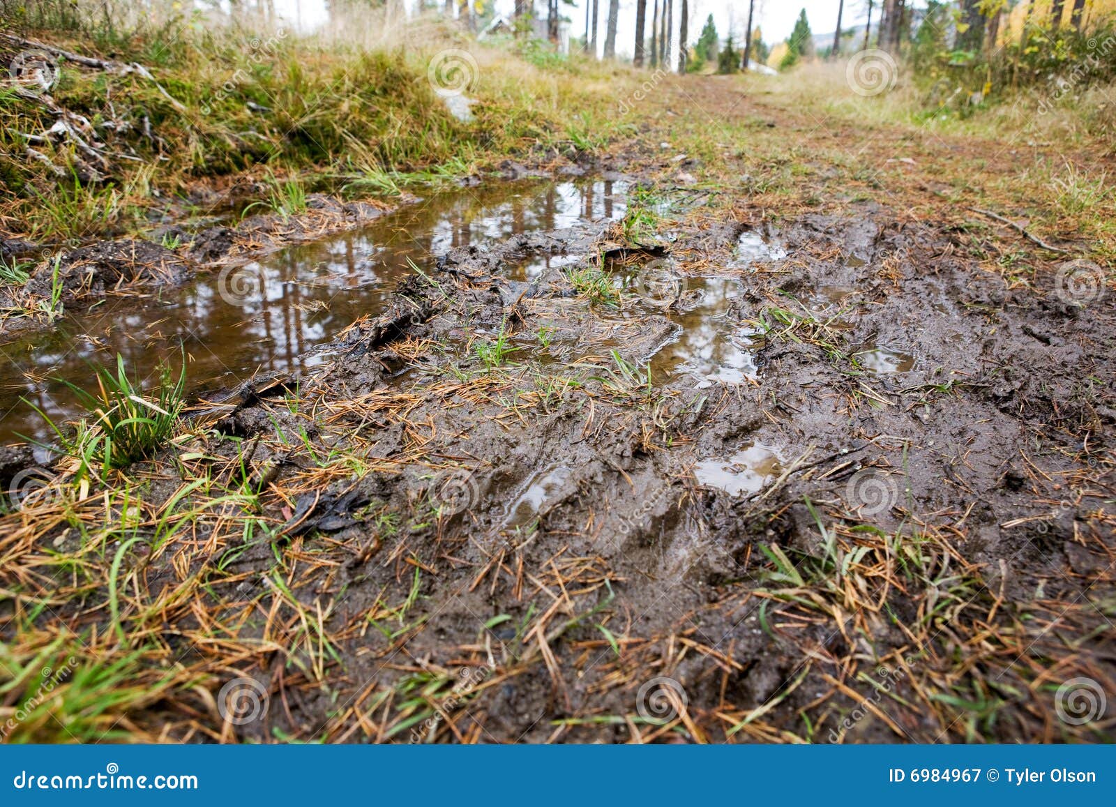 Mud Puddle stock image. Image of outdoor, dirty, nature - 6984967