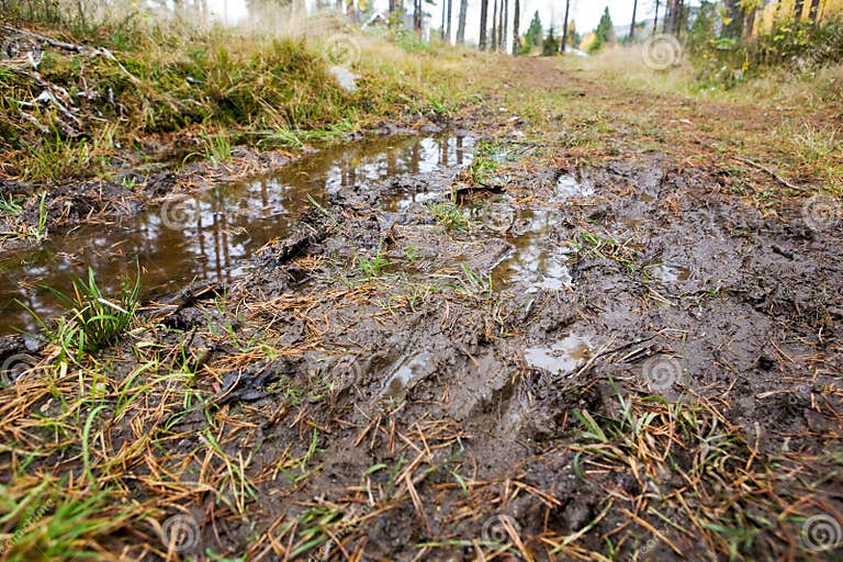 Mud Puddle stock image. Image of outdoor, dirty, nature - 6984967