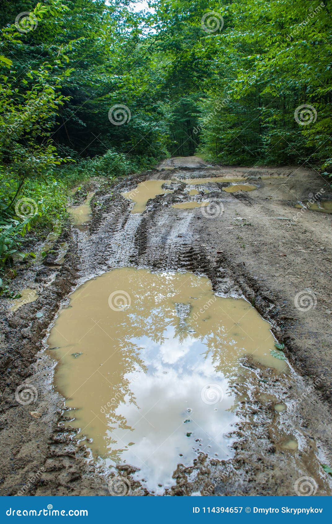 Mud puddle on a dirt road stock image. Image of fall - 114394657