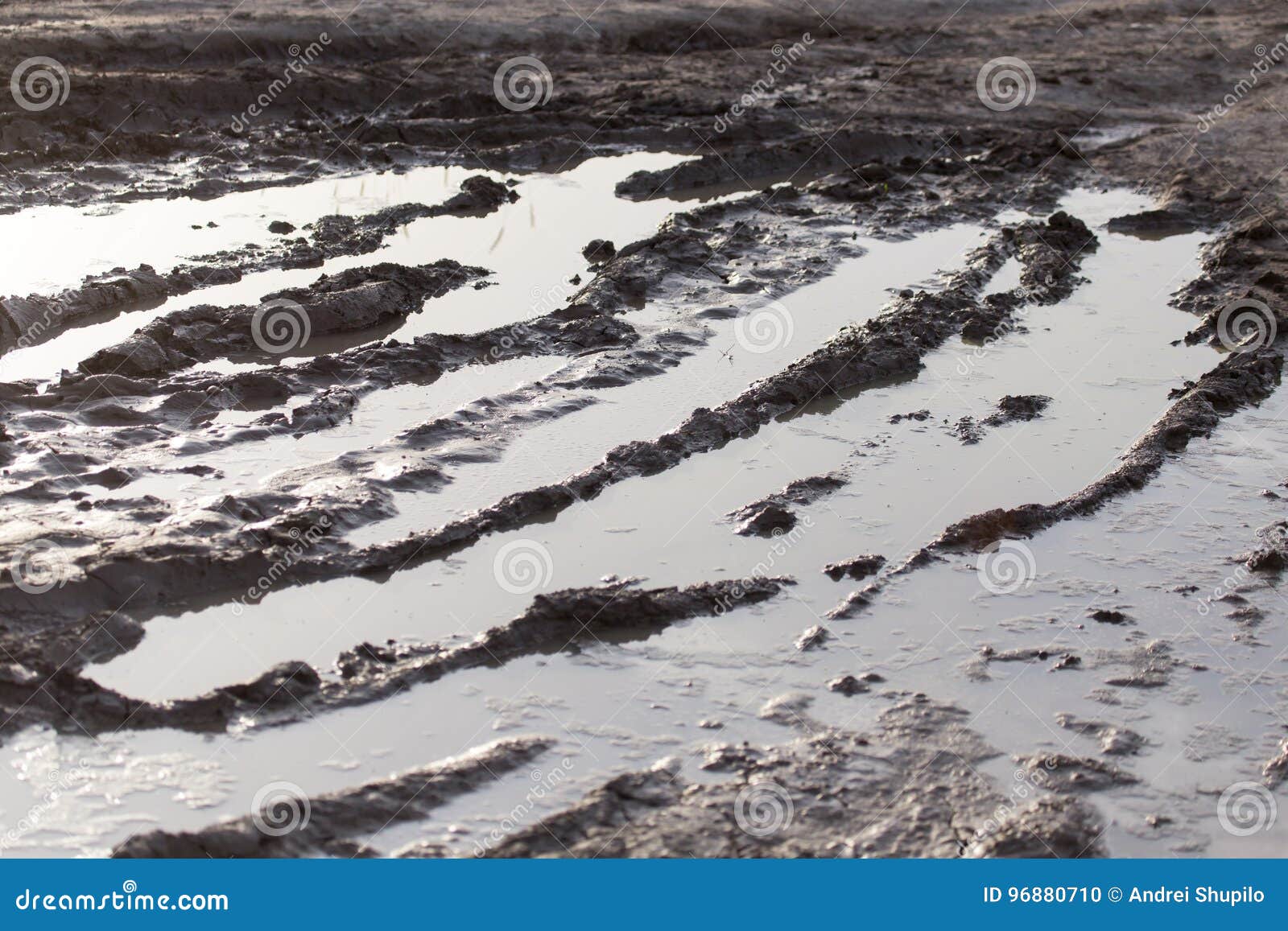 Mud puddle on a dirt road stock photo. Image of traction - 96880710