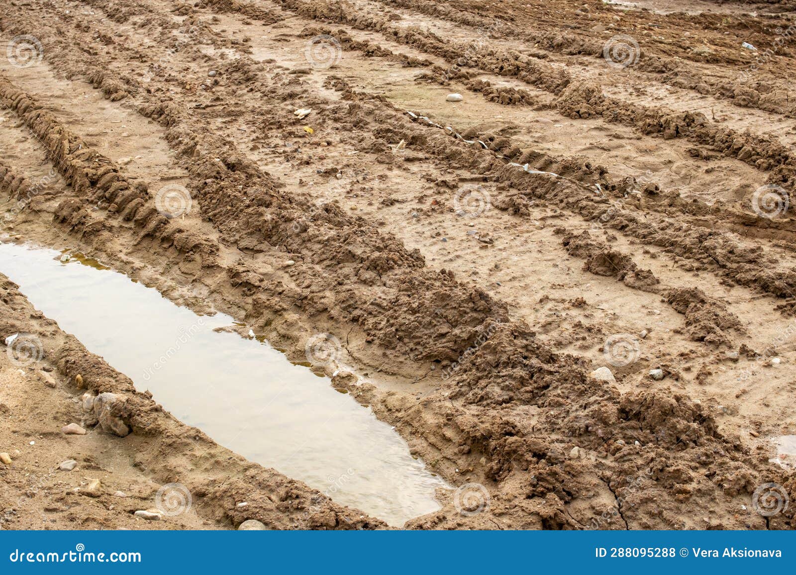 Mud and Puddle on a Sandy Road Stock Photo - Image of vehicle ...