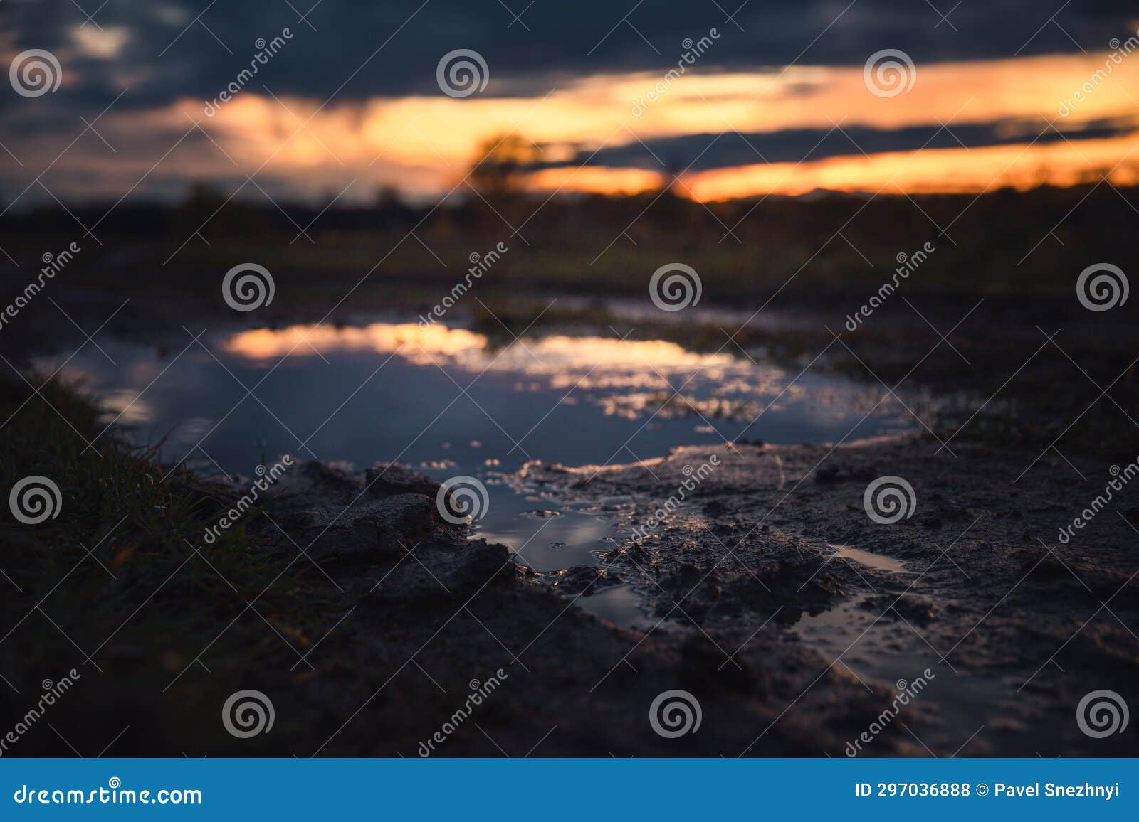 Mud and puddle at sunset stock photo. Image of sunset - 297036888