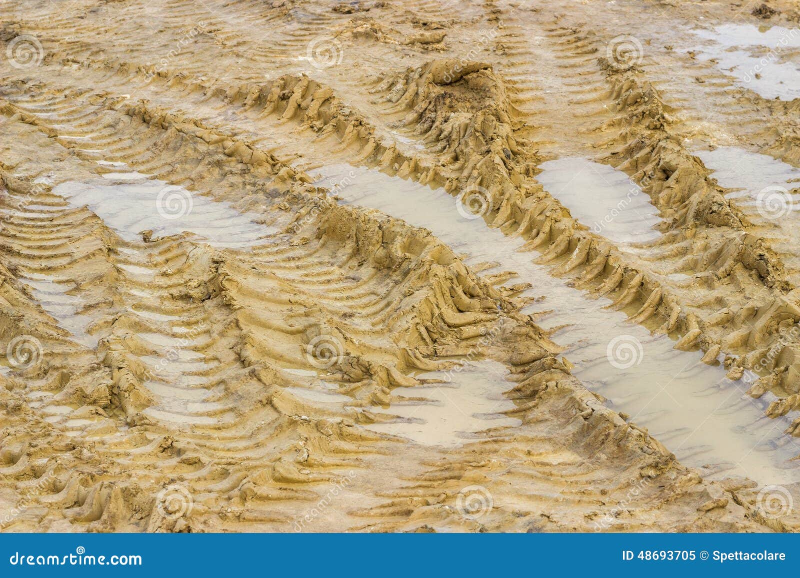 Puddle And Mud With Tire Track Texture. Muddy Field, Dirt Road After ...