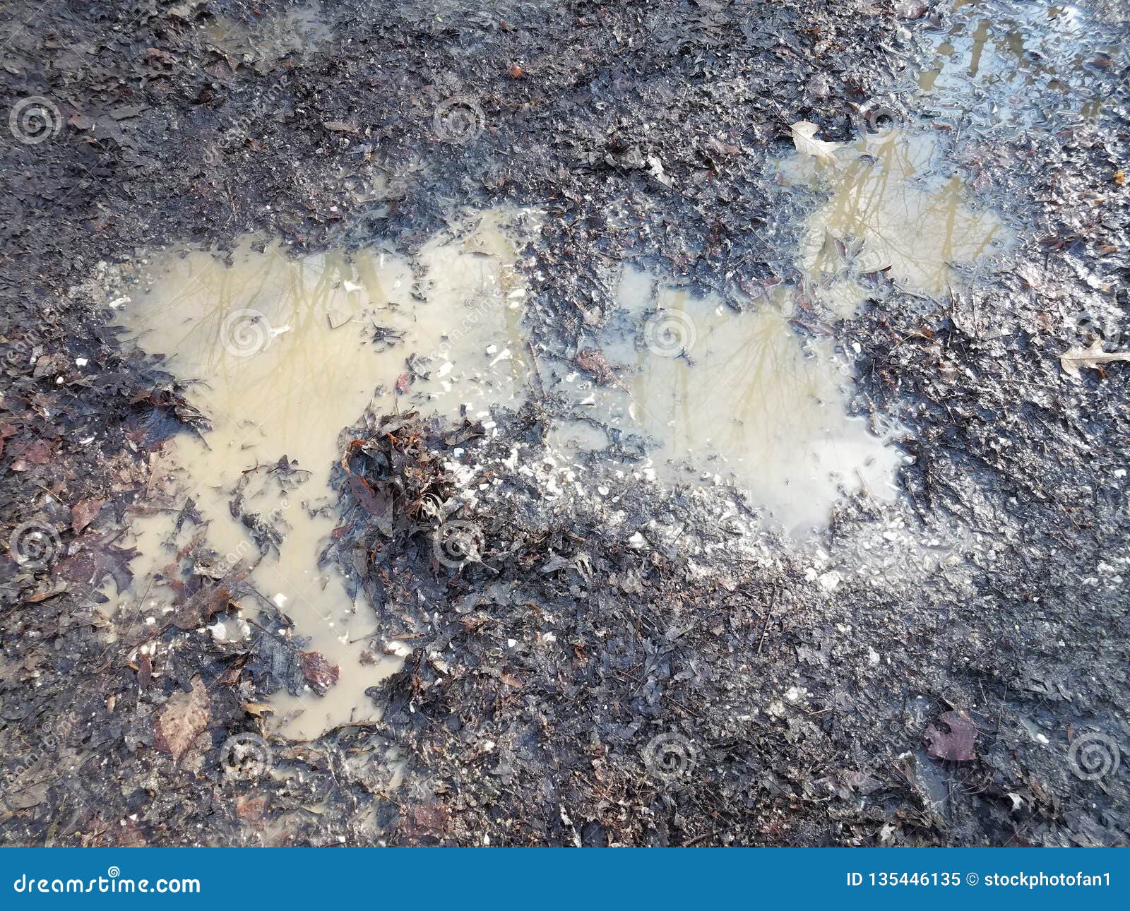 Mud Puddle with Water and Brown Leaves Stock Image - Image of murky ...