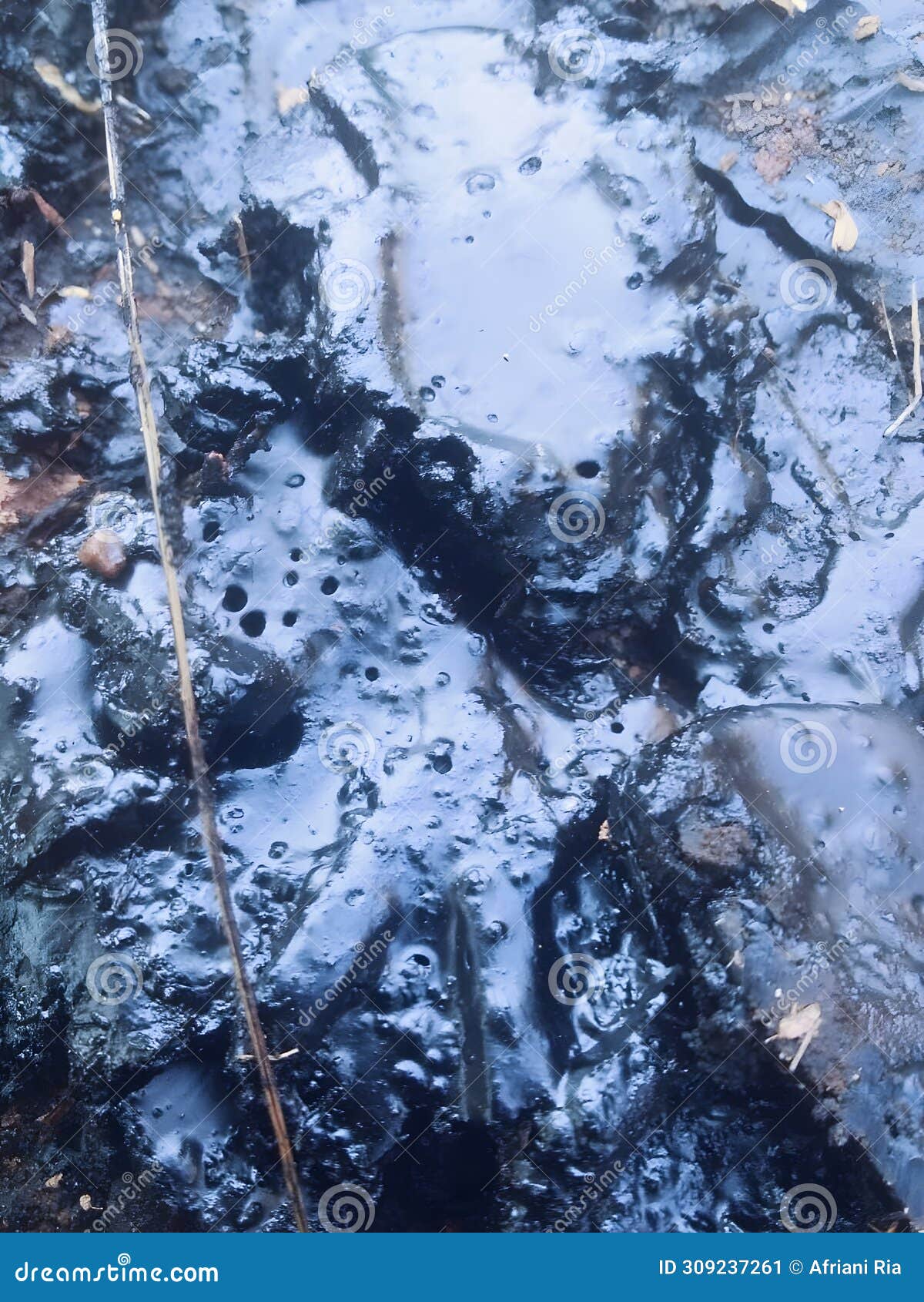 Mud Puddles in Palm Oil Fields Stock Image - Image of puddles, fields ...