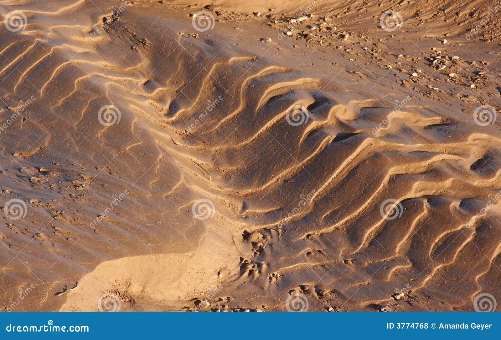 Mud Ripples stock photo. Image of dirt, copper, ripples - 3774768