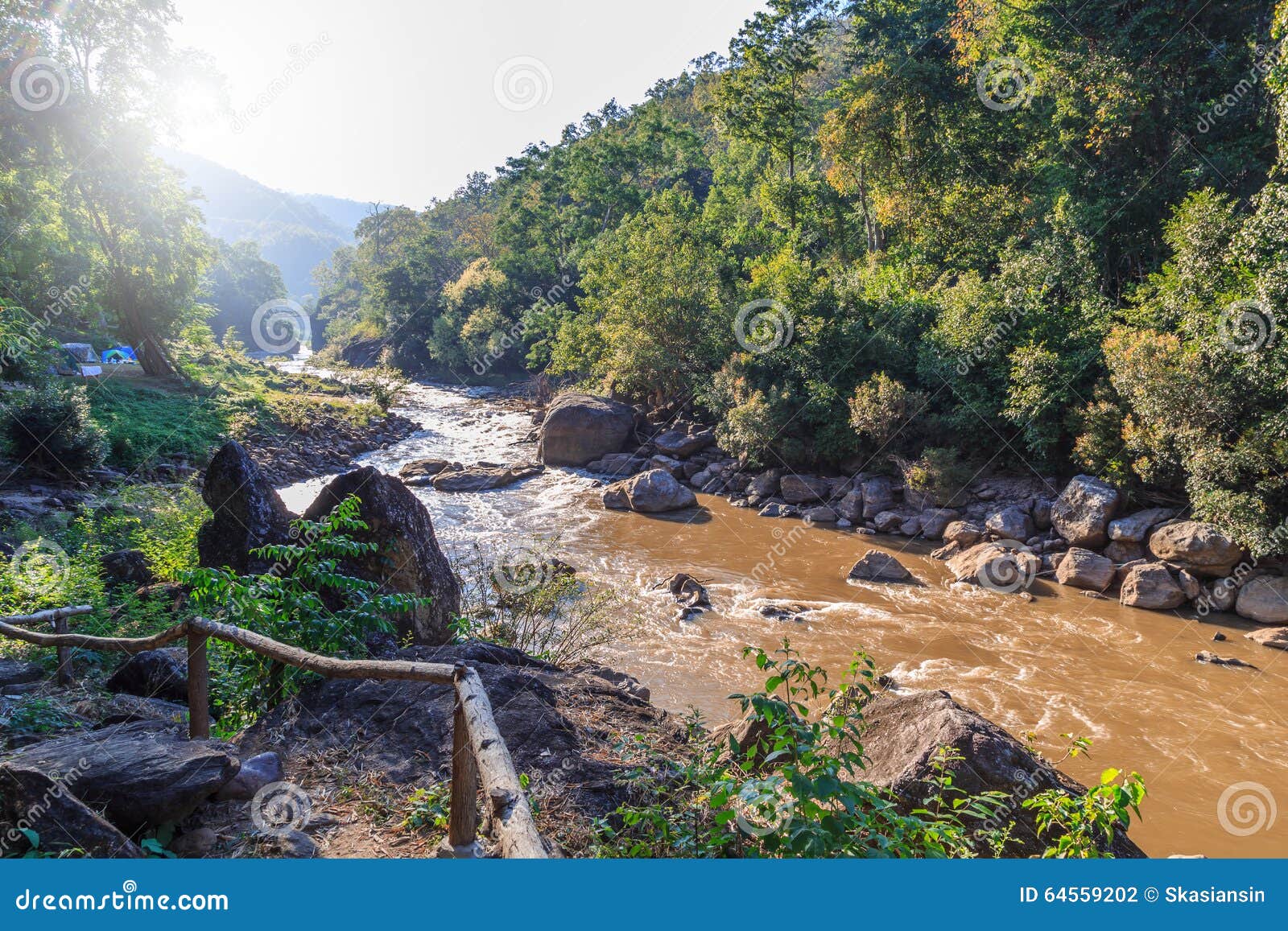 Mud river in forest stock photo. Image of spring, branch - 64559202