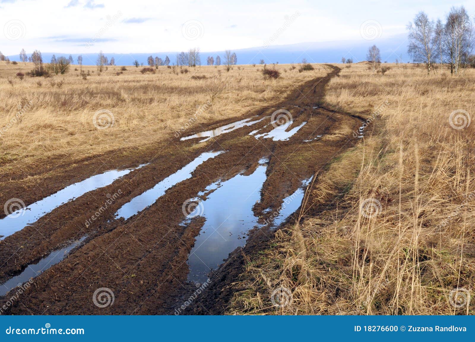 Mud and road stock photo. Image of shape, grass, brown - 18276600