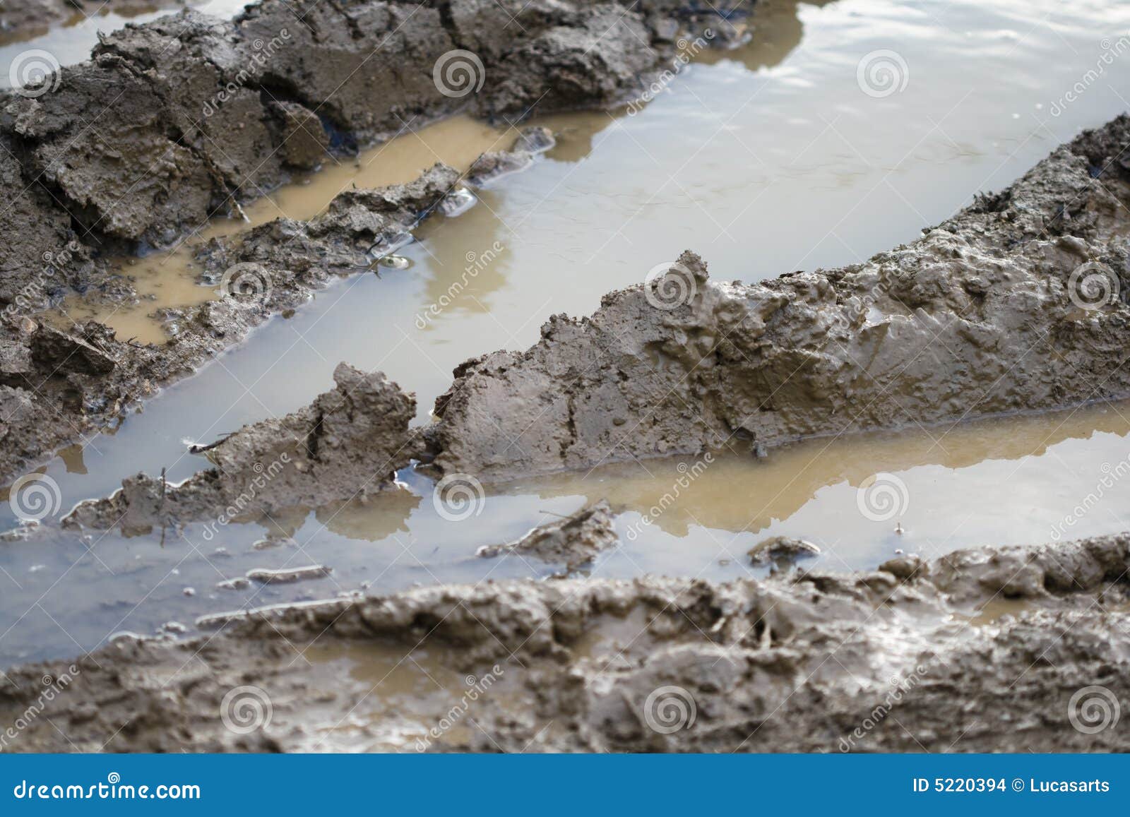 Mud road stock photo. Image of dirty, slick, dirt, tracks - 5220394