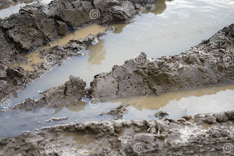 Mud road stock photo. Image of dirty, slick, dirt, tracks - 5220394